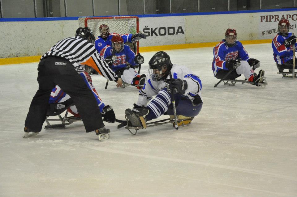 Estonia sweep Great Britain in sledge series
