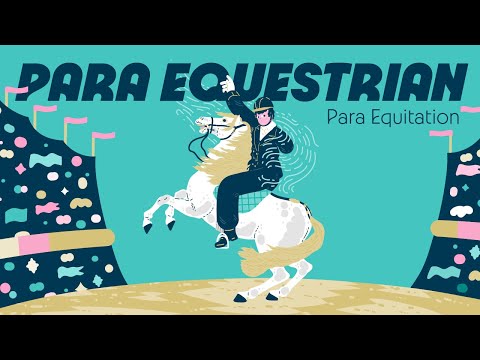 All You Need to Know about Para Equestrian 🐎