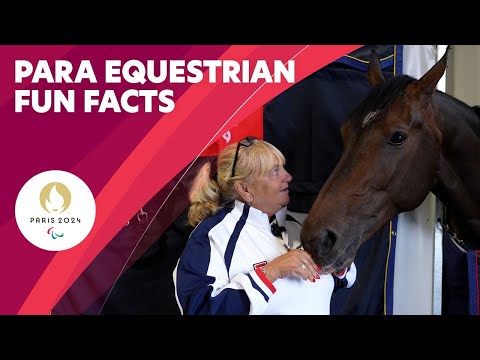 Para equestrian fun facts 🐎🤔