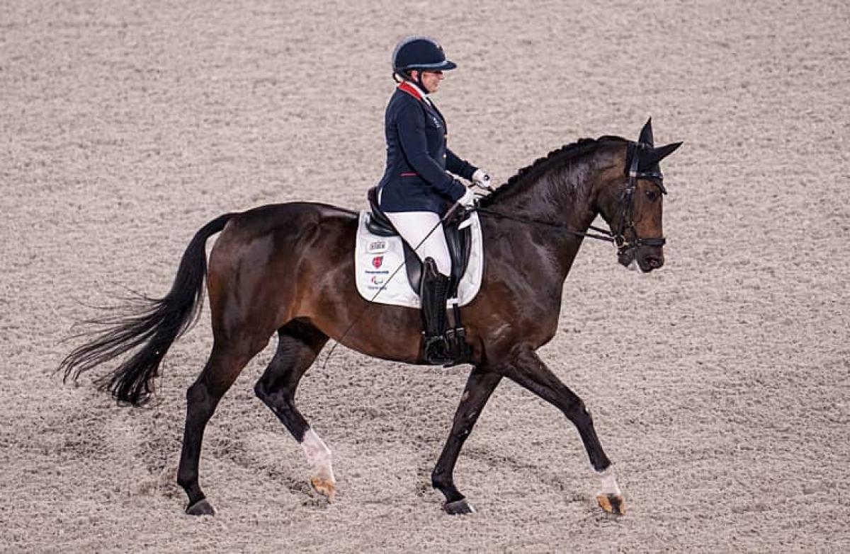 Flying horses: how dressage teams travel to the Paralympic Games